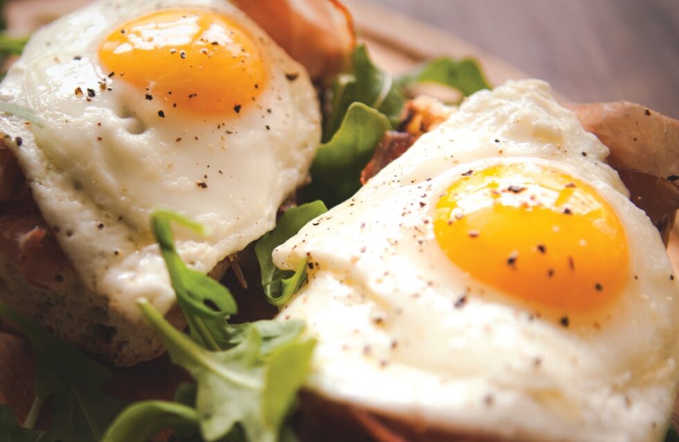 Country Fresh Eggs | Family Farm | Daybreak Farms